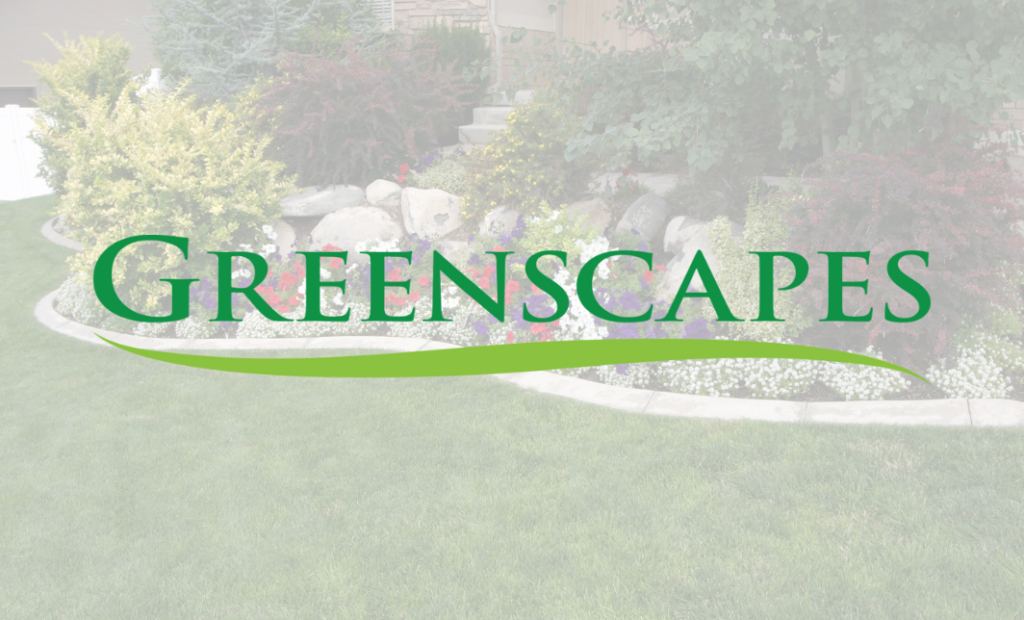 For Pros - Neighbor Serve